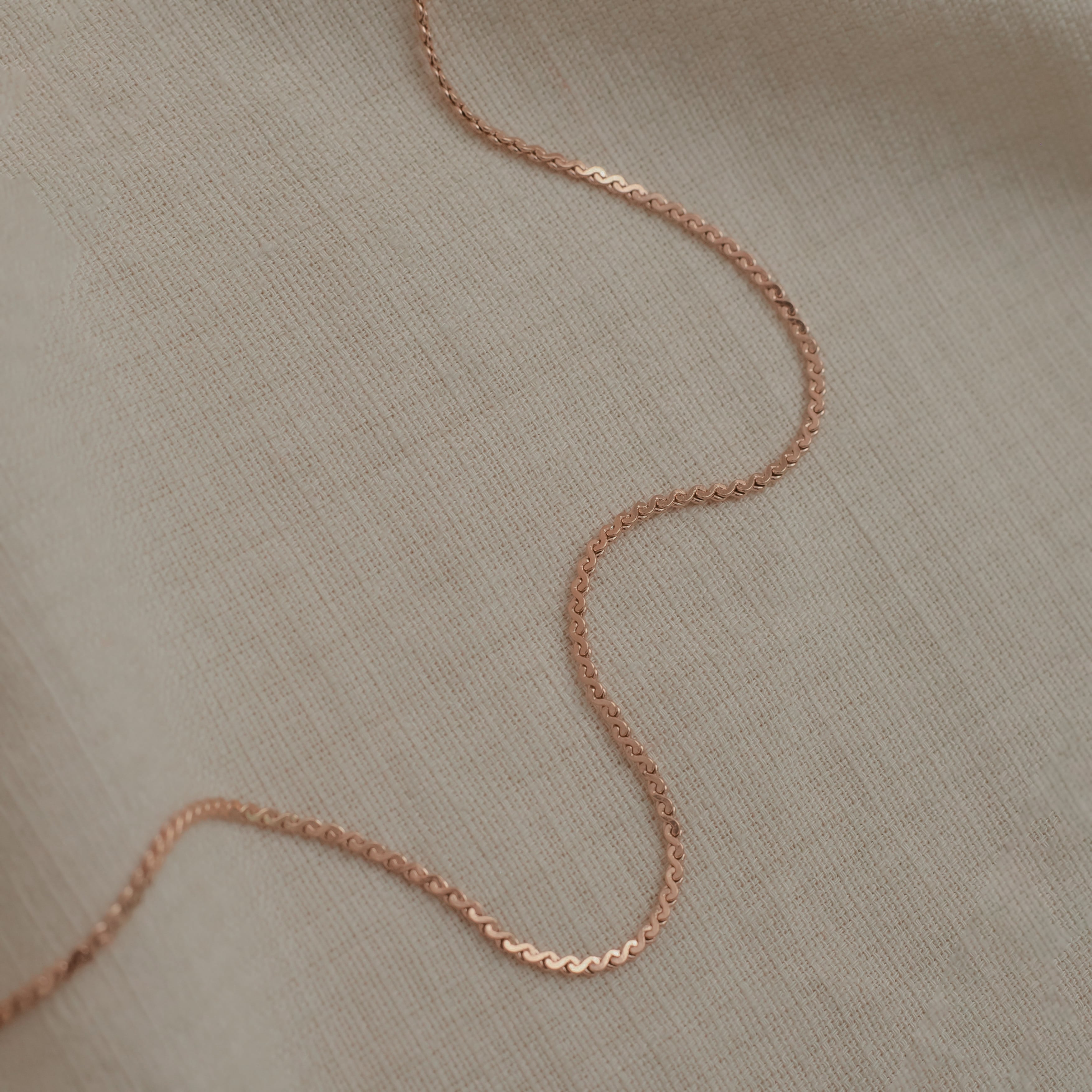 Serpentine Chain Necklace – Made Different Co